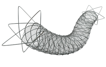 Roadsaver® - Carotid artery stent system